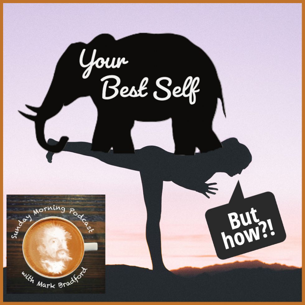 Oh just be your Best Self™ | Alchemy For Life