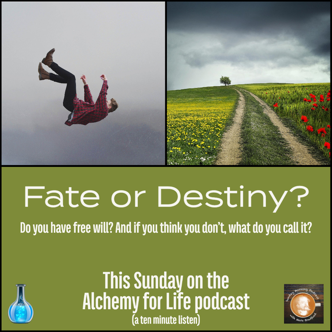 Fate Or Destiny Alchemy For Life